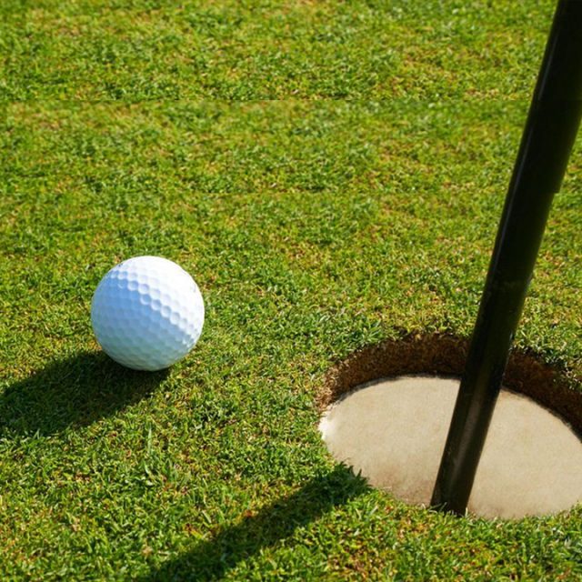 Golf-HomePage-Button - Hoffman Estates Park District