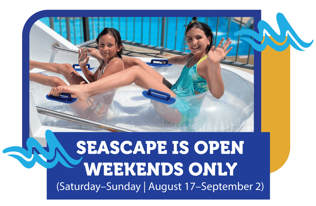 E-News-Hero_Seascape - Hoffman Estates Park District