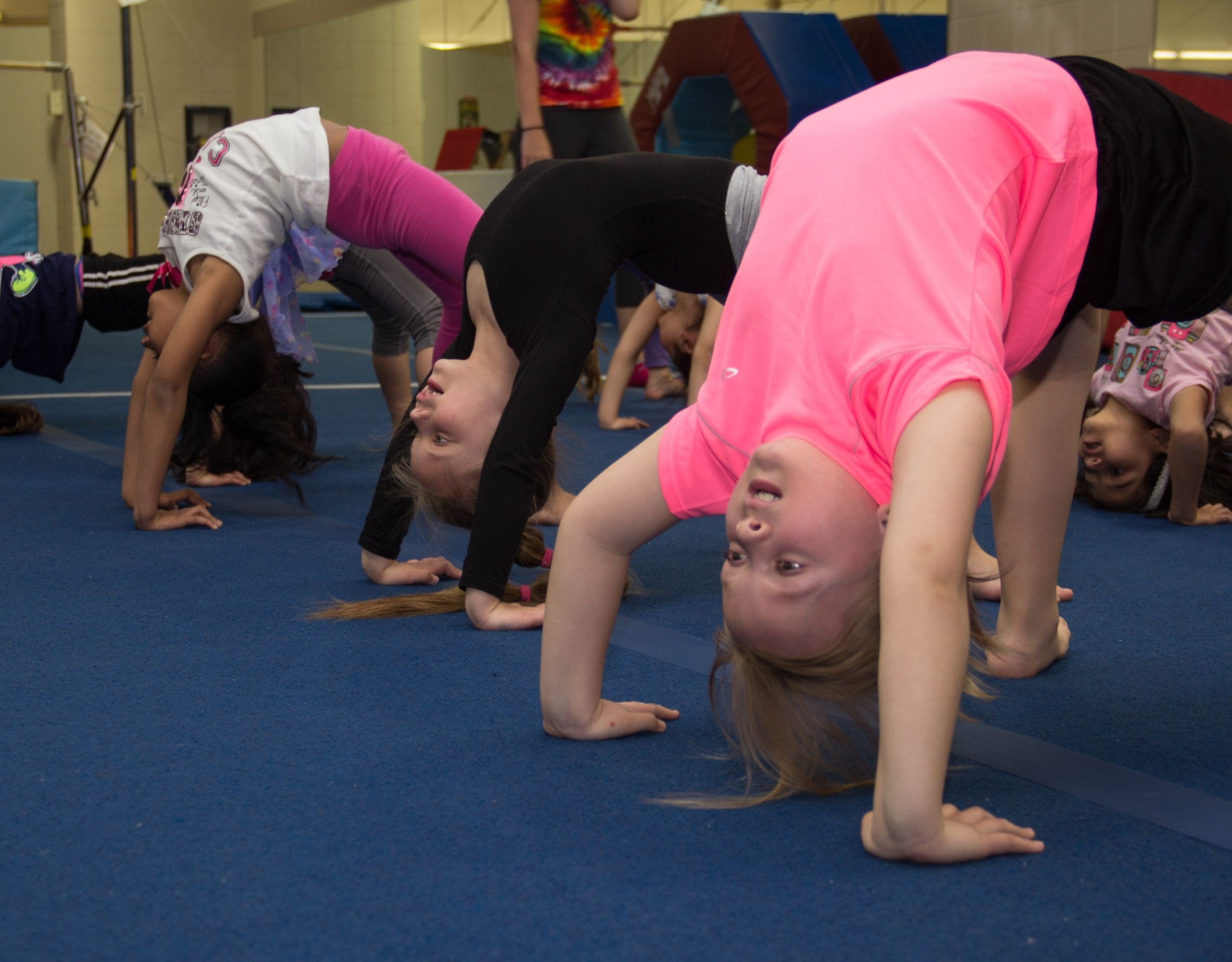 gymnastics - Hoffman Estates Park District