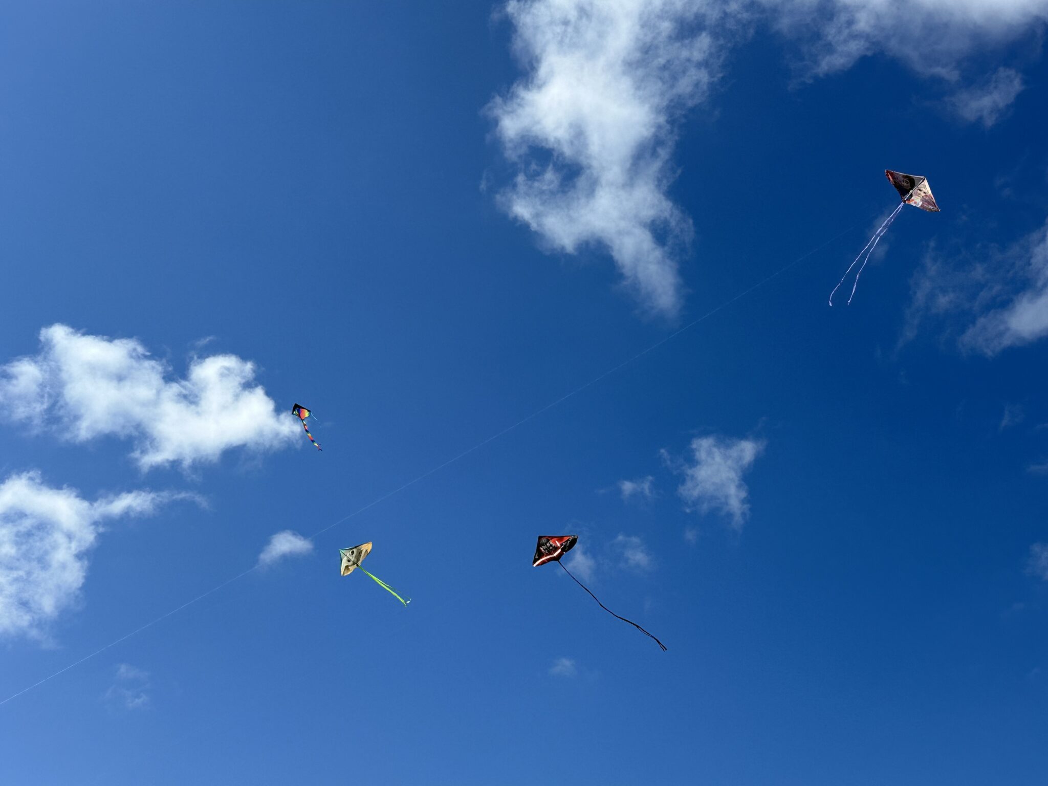 Kite Day | Hoffman Estates Park District